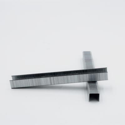 Cina U-Type Nail e 21 Gauge 8406 Staples per tappezzeria in serie 84 con sconto in vendita