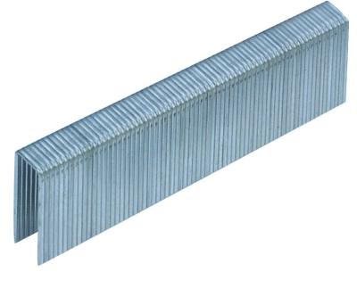 Cina Staple Pneumatico Staple 16 Guage 1/2