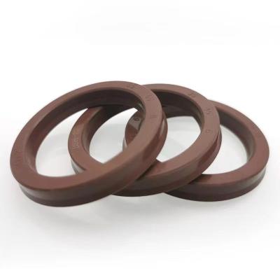 Cina Guarnizione di scheletro di qualità superiore dello Sc TC di FKM NBR per il labbro rosso nero di sigillatura idraulico EPDM di gomma HNBR dello slingle del doppio labbro di Brown neo in vendita