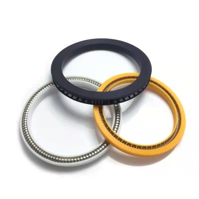 Cina La guarnizione Ring Spring Energy Storage Ring di Ptfe può essere personalizzata in vendita