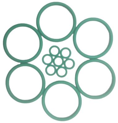 中国 金属のOリングの顧客用プラスチック銀製のOリングのシールのゴム製Oリング 販売のため