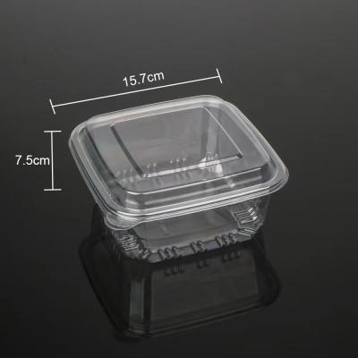 중국 Lid로 포장되는 500개 밀리람베르트 명백한 스퀘어 플라스틱 반죽 과자 컨테이너 쿠키 케이크 판매용