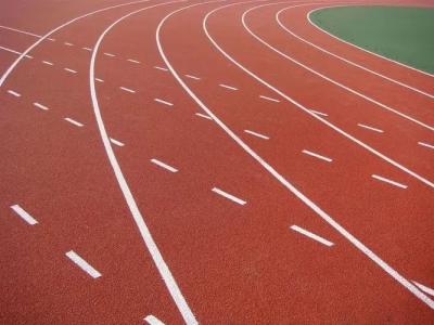 China High Technical EPDM Granules Making Machine For Stadium Track for sale