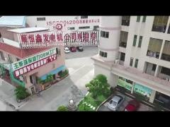 Guangdong Sunkings Electric Co., Ltd. y sus subsidiarias