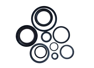 Cina Rubber Compression Moulding Machine Rubber Oil Seal Making Machine in vendita