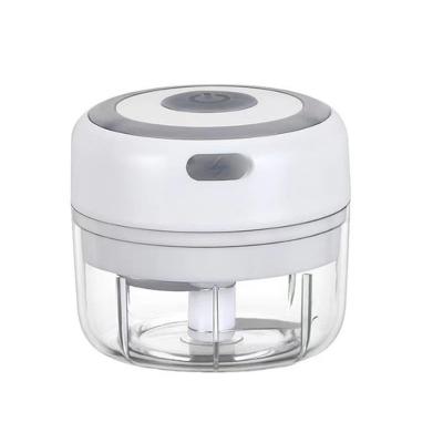 Cina Stampa di aglio della casa di Mini Electric Chopper 250ML Chopper Portable Food Chopper in vendita