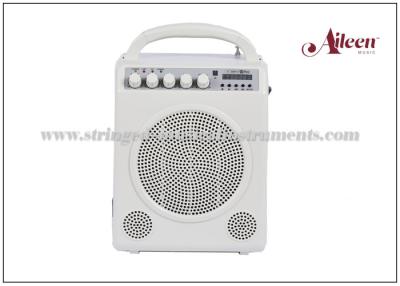 Cina Radio professionale di FM con la registrazione/Bluetooth/amplificatore del connettore carta di USB/deviazione standard mini in vendita