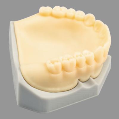 China Digital 3D Printed Denture Try In With Smooth Surface Finished for sale