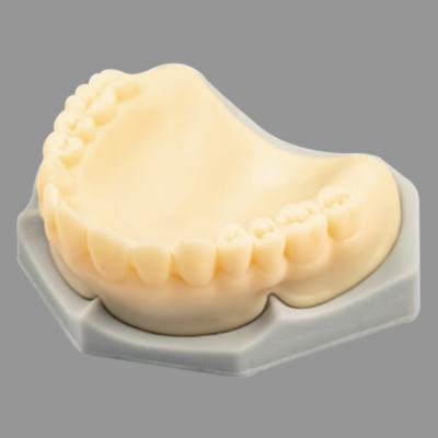 China Digital 3D Printed Denture Try In With Smooth Surface Finished for sale