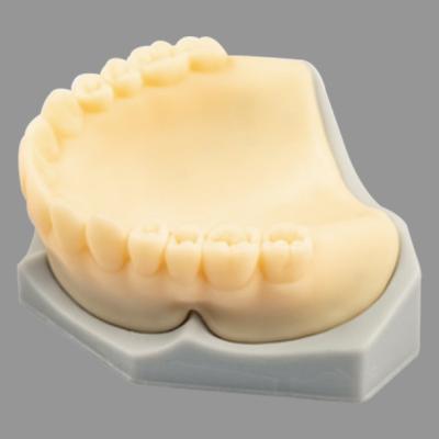 China Digital 3D Printed Denture Try In With Smooth Surface Finished for sale