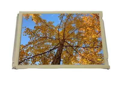 Cina AUO 10.4 Inch 640*480 TFT LCD Display LVDS G104VN01 V1 For Industrial Use in vendita