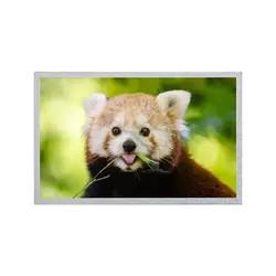 Cina 12.1 Inch AUO LCD Panel 800*600 G121S1-L02 REV C4 / REV C6 TFT LCD Display Module in vendita