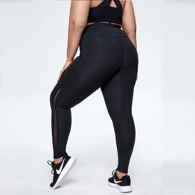 Cina Dimensione 4XL più l'umidità Wicking Mesh Breathable di Colorfast dei pantaloni di yoga di dimensione in vendita