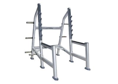 Cina Macchina tozza dello scaffale della metropolitana audace di Lifefitness dell'attrezzatura della palestra del grado commerciale Q235 in vendita
