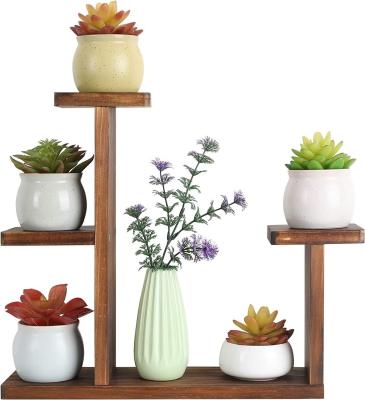 Étagère d'affichage de salon pour plantes succulentes Carré Porteur d'étagère de fleurs environnementales