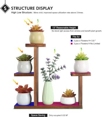 Chine Étagère d'affichage de salon pour plantes succulentes Carré Porteur d'étagère de fleurs environnementales à vendre