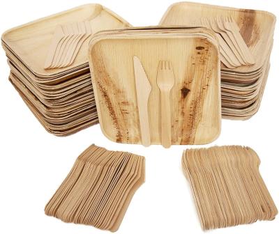 Chine Eco-friendly 20 Pack Biodégradable Plaques de feuilles de palmier 10 pouces carrés Robuste comme le bambou Elegant jetable à vendre