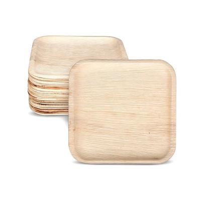 Κίνα 6X9 ιντσών Palm Leaf Square Πάρτι Δείπνο Πλάκες Περιβαλλοντικά φιλικά και Εργατικά Δώρα Περίσταση προς πώληση