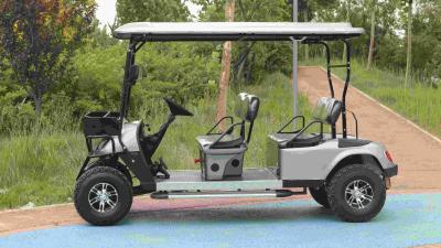 Chine Buggy électrique 5KW de chariot de golf des loisirs 4x4 avec la batterie au plomb à vendre