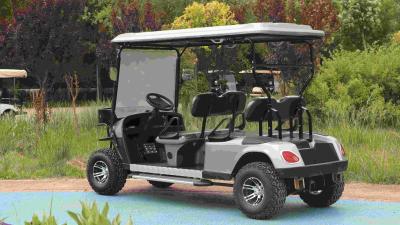 Chine Buggy électrique 5KW de chariot de golf des loisirs 4x4 avec la batterie au plomb à vendre