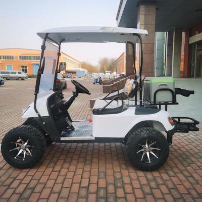 중국 OEM 납축 전지를 가진 소형 Aetric 2 Seater 골프 카트 30mph 판매용