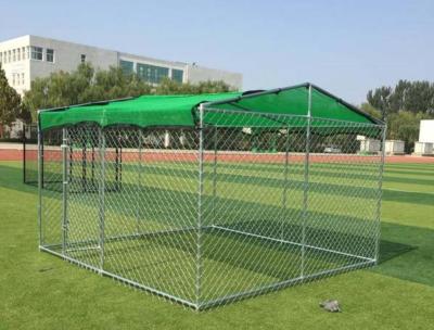 Cina Gabbia galvanizzata ecologica del cane del collegamento a catena per gli animali 60 * 60mm in vendita