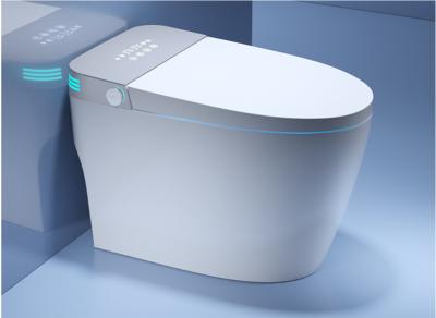 Китай Color Gray CE One Piece Sanitary Ware Automatic Cleaning And Heating продается
