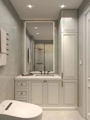 Cina Customized Bathroom Wash Basin Cabinet with Drainage System Yes Nsect-proof in vendita