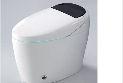 中国 標準的な高さの一つのスマートな洗面所は静かに閉まる90mm PPを延長した 販売のため
