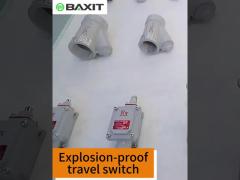 Explosionsgeschützter Endschalter BXT-LX5 Serie 1NO+1NC 5A