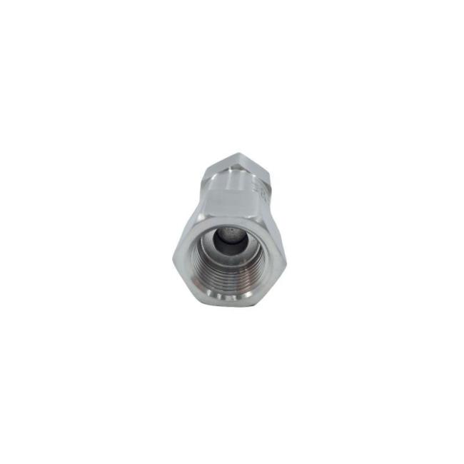 Specializing in The Production of 304/316 Stainless Steel Thread Check Valve