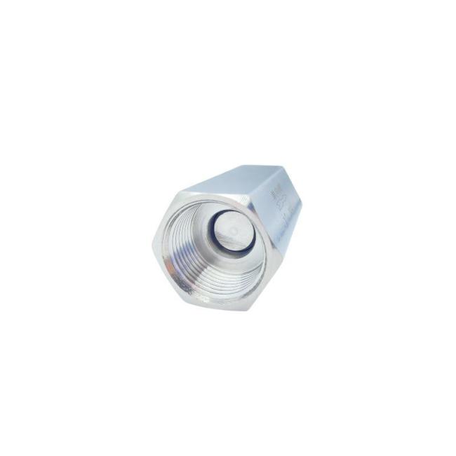 Manufacturers Produce Stainless Steel Hexagonal Check Valves
