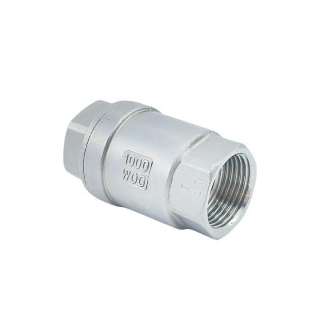 Thread Stainless Steel Spring Vertical Check Valve Non Return Check Valve