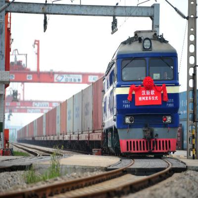 Cina Trasporto di spedizione/trasporto logistico/ferroviario dell'oceano dalla Cina in Croazia/Bruxelles/Bruges/Gand/Belgio in vendita