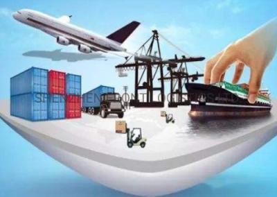 Cina Tassi precisi di FBA del trasporto dello spedizioniere aeromarittimo economico di trasporto dalla Cina ad Europa Canada Australia in vendita
