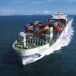 Cina Trasporto del contenitore di FCL/LCL ad Europa, Belgio, Italia, Francia, Germania in vendita