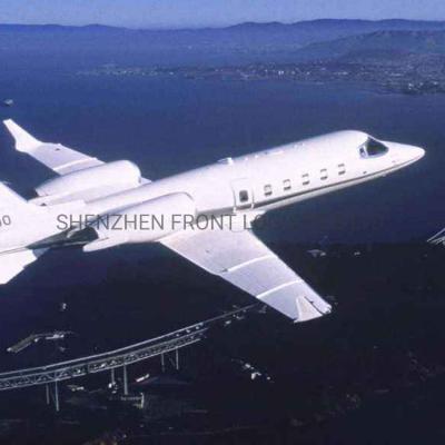 Cina I materiali epidemici di prevenzione il trasporto dell'aereo da trasporto dalla Cina nel Perù in vendita