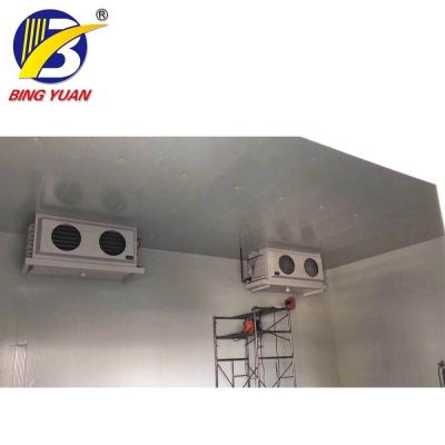Cina DJ Type Low Temperature Double Side Air Blow Evaporator, Cold Room Air Cooler evaporator in vendita