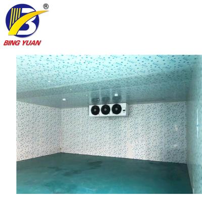 Cina cold storage room cold room panels polyurethane,fish storage cold room,cold room for sale in vendita