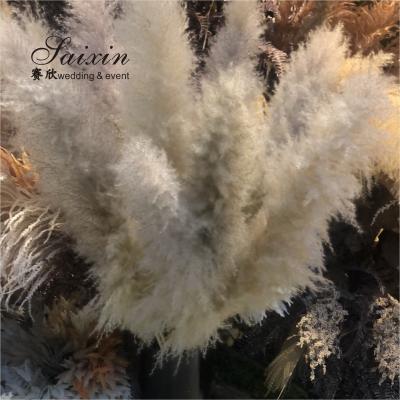 Chine Wholesale Large fluffy Pampas grass bouquet  Artificial flowers for wedding decoration à vendre