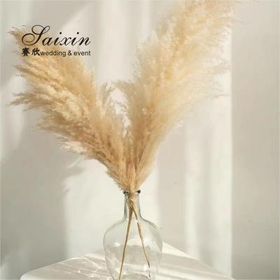 Chine Wholesale Large fluffy Pampas grass bouquet  Artificial flowers for wedding decoration à vendre
