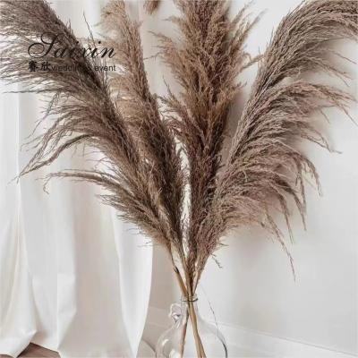 Chine Wholesale Large fluffy Pampas grass bouquet  Artificial flowers for wedding decoration à vendre
