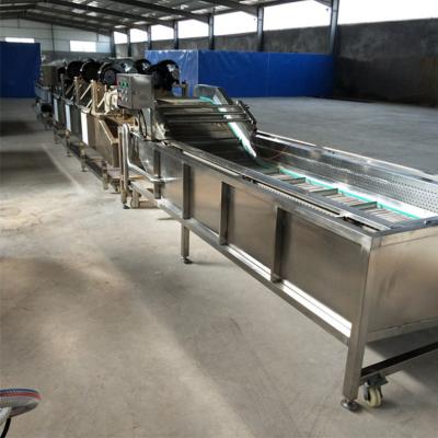 Chine machine de nettoyage de jet de haute pression de machine de développement de légume fruit 380V à vendre