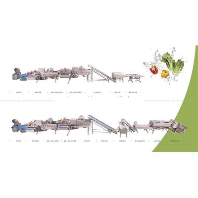 Κίνα 100kg/H βιομηχανική πλύσης φρέσκων λαχανικών βαθμού μηχανή SS304 και προς πώληση