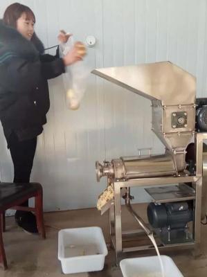 Chine Machine de broyeur de jus d'acier inoxydable de la CE 380v à vendre