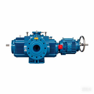 中国 50L/Min シルバー塗装 ダブル吸気真空根吹風機 50Hz周波数 販売のため