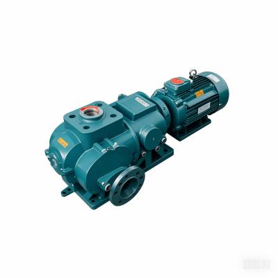 中国 45Kg 圧力 0.04MPa 産業用根ポンプ 販売のため