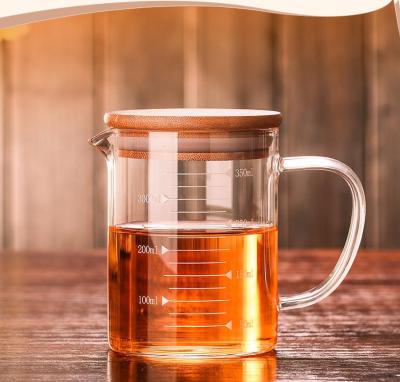 Cina Tazza a doppia parete del vetro borosilicato con il coperchio per l'acqua del tè del caffè in vendita