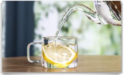 Cina La tazza del vetro borosilicato di Novolink 150ml ha messo di 6 chiari trasparenti in vendita