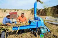 Quality Automatic Feeding Silage Chaff Cutter Straw Crusher Forage Hay Cutter For Animal Feed Processing for sale